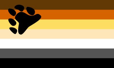 15 Multiple Gender Identity Flags: How Well Do You Know Them?