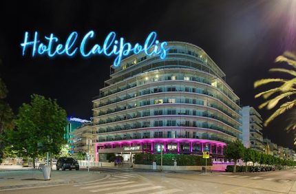 Top 8 Recommended Trans-Friendly Hotels to Stay At
