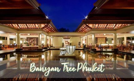 Top 8 Recommended Trans-Friendly Hotels to Stay At