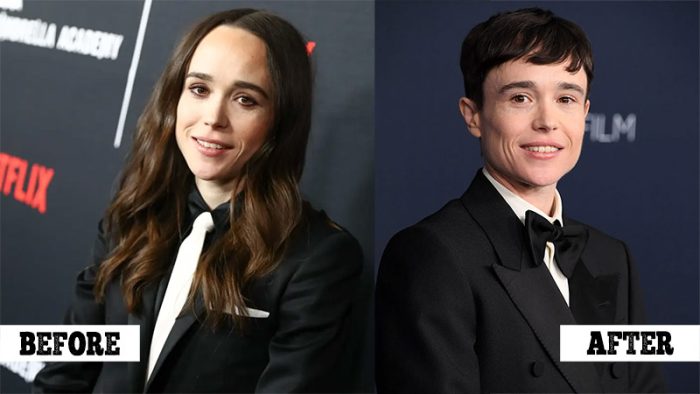 Everything You Need to Know About FTM Transformation in 2024 ...