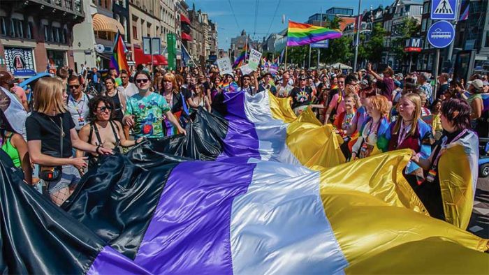 What is Enby and How It Differs from Genderqueer - Banabuddy FTM ...