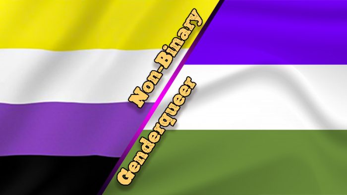 What is Enby and How It Differs from Genderqueer - Banabuddy FTM ...