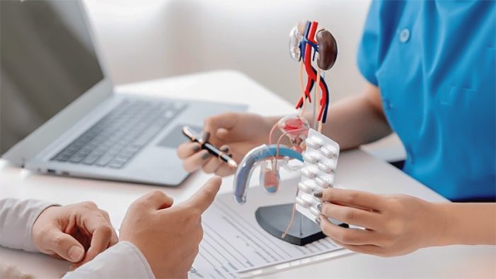 FTM Prosthetics Guide: How Does a Trans Man Get a Penis? - Banabuddy ...