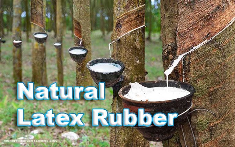 How to Wear a Packer: A Comprehensive Guide for FTM Individuals ...